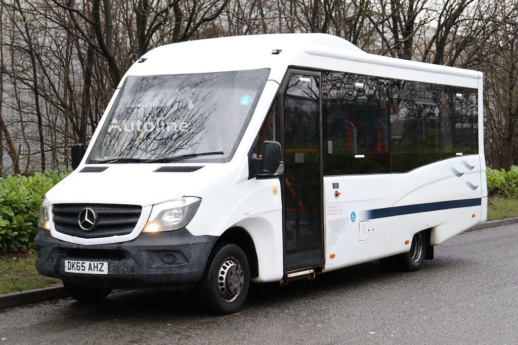 Mercedes-Benz Sprinter 513 putnički minibus