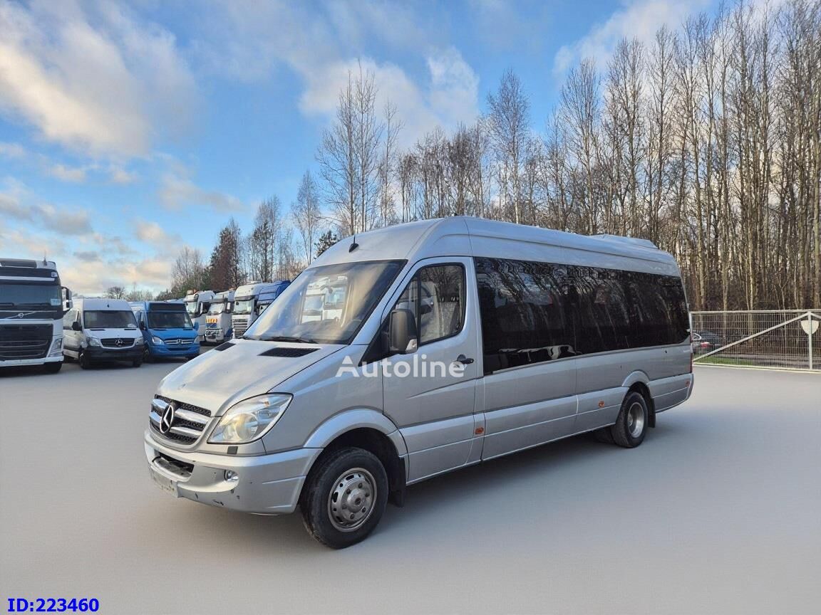 Mercedes-Benz Sprinter 516 - VIP - (Engine defect) putnički minibus