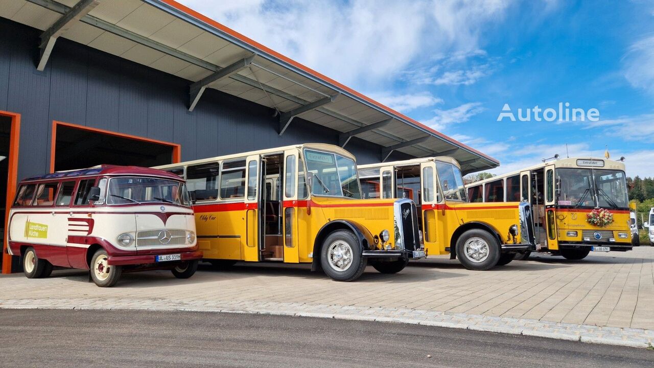 Oldtimer Paket Saurer LC 4 und Volvo B 10 Lauber školski autobus