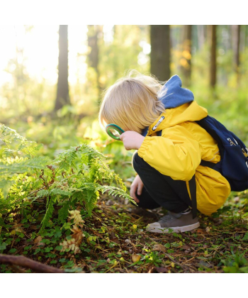 Hape set lupa i pištaljka igračka za decu E0221
