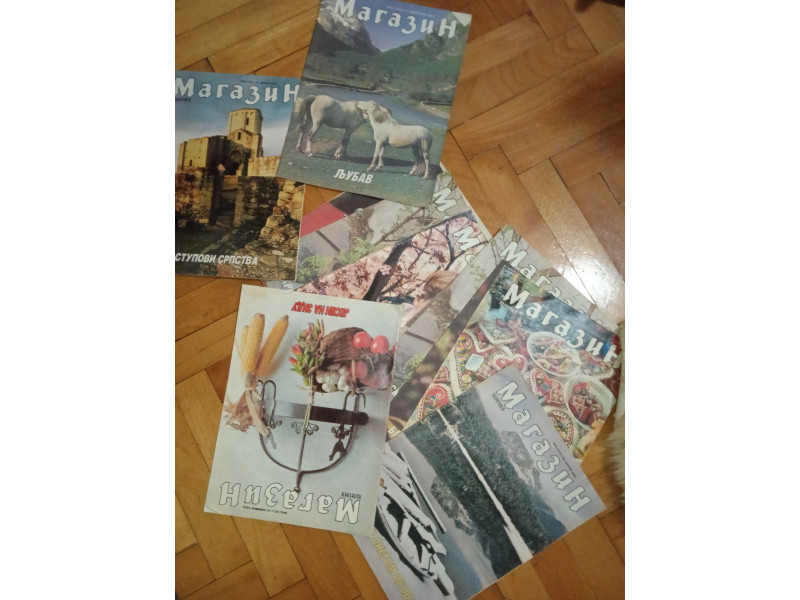 Magazin politika