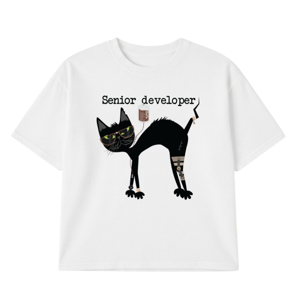Senior developer