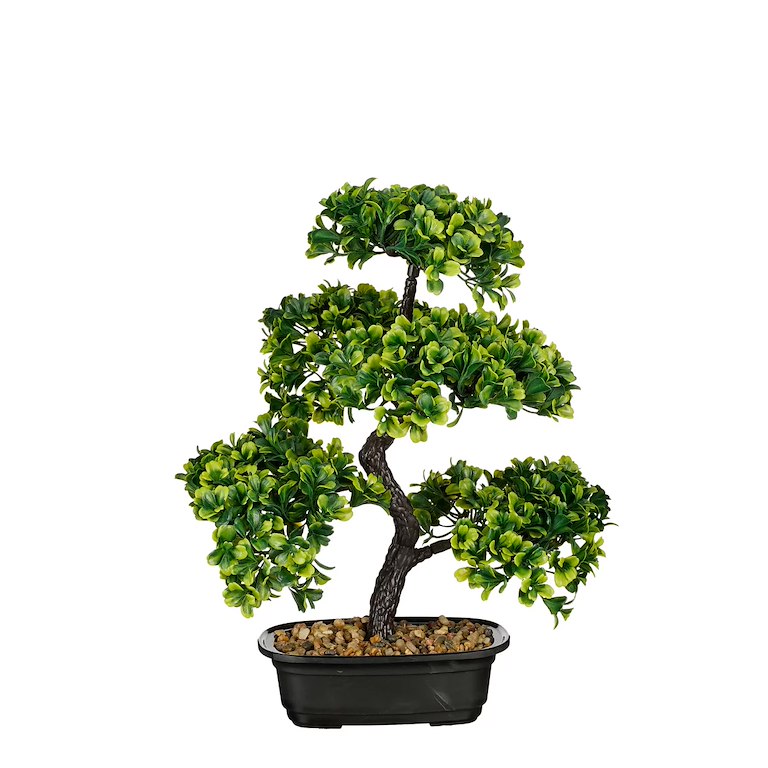 BONSAI 30/30/38 cm