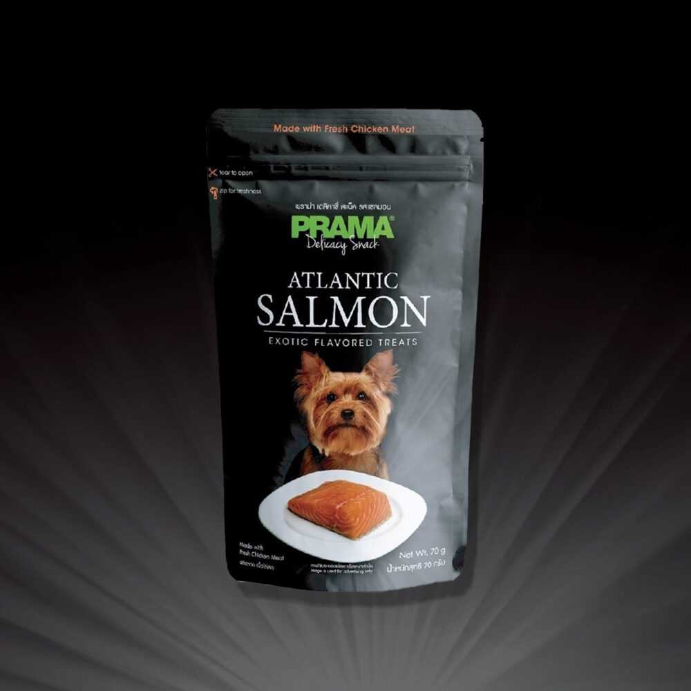 Prama Dog Poslastica za pse Delicacy snack - Losos 70g