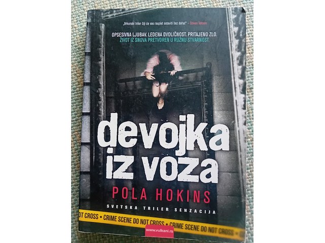 Pola Hokins Devojka iz voza