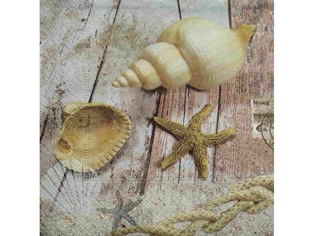 Mala Salveta P_066 Morski motivi Školjke