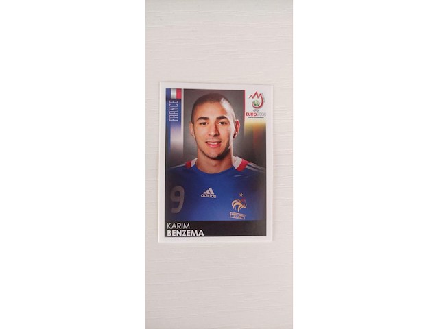 Panini EURO 2008 sličica broj 354
