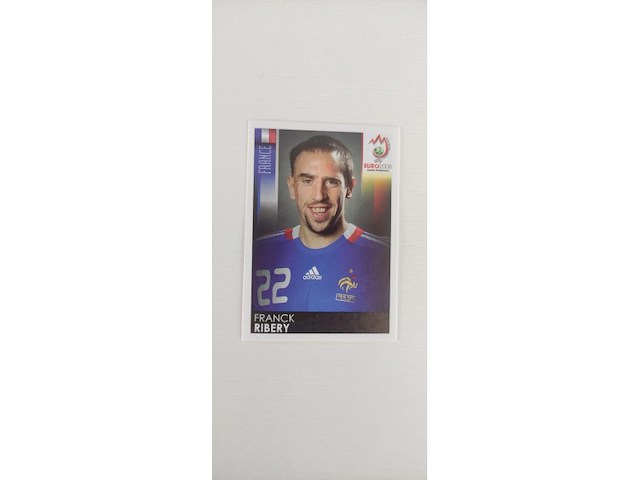 Panini EURO 2008 sličica broj 351