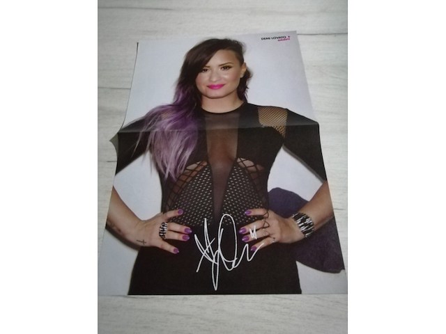 Poster(dvostrani) Demi Lovato/Niall Horan