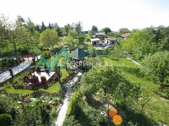 Lokal,PETROVARADIN,ALIBEGOVAC,kv: 450.00, € 515000, ID: 8000017