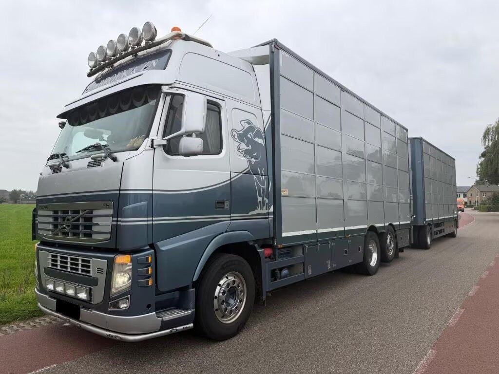 Volvo FH 480 / + trailer kamion za prevoz stoke + prikolica za prevoz stoke