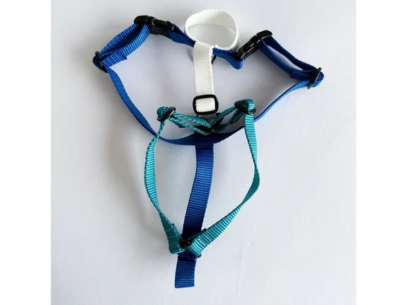 Woofinery craft Odiseja amovi