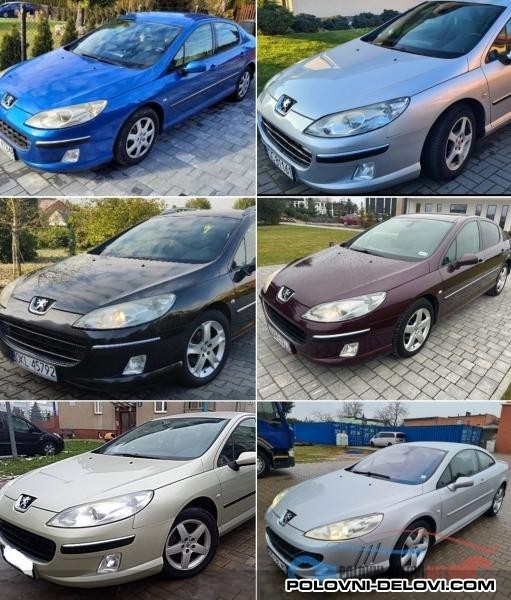 Peugeot 407 Elektrika I Paljenje