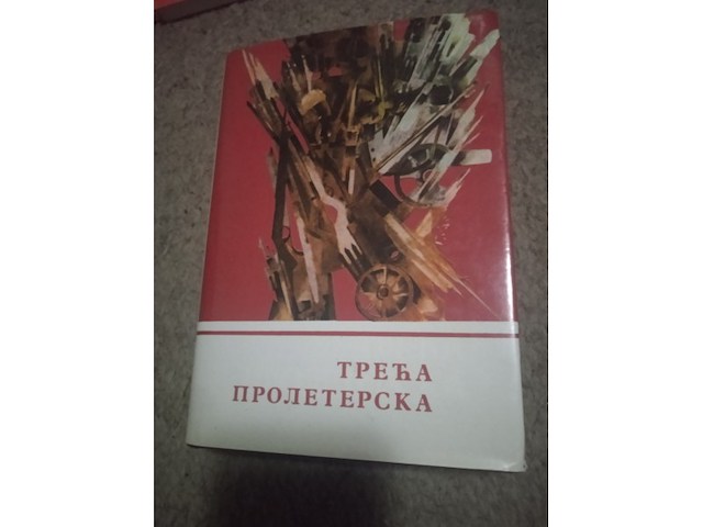 Treća proleterska sandžačka brigada / knjiga treća