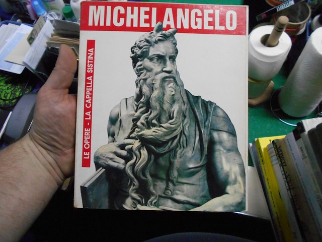 Michelangelo