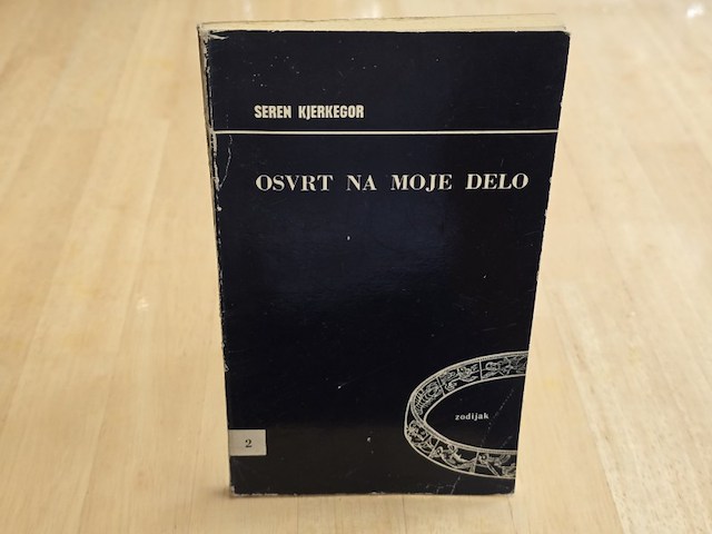 Osvrt na moje delo Seren Kjerkegor
