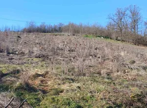Prodaja Građevinsko zemljište - Batočina