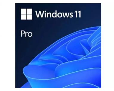 MICROSOFT Microsoft Windows 11 Pro 64bit Eng Intl OEM DSP DVD FQC-10528 (24H2)