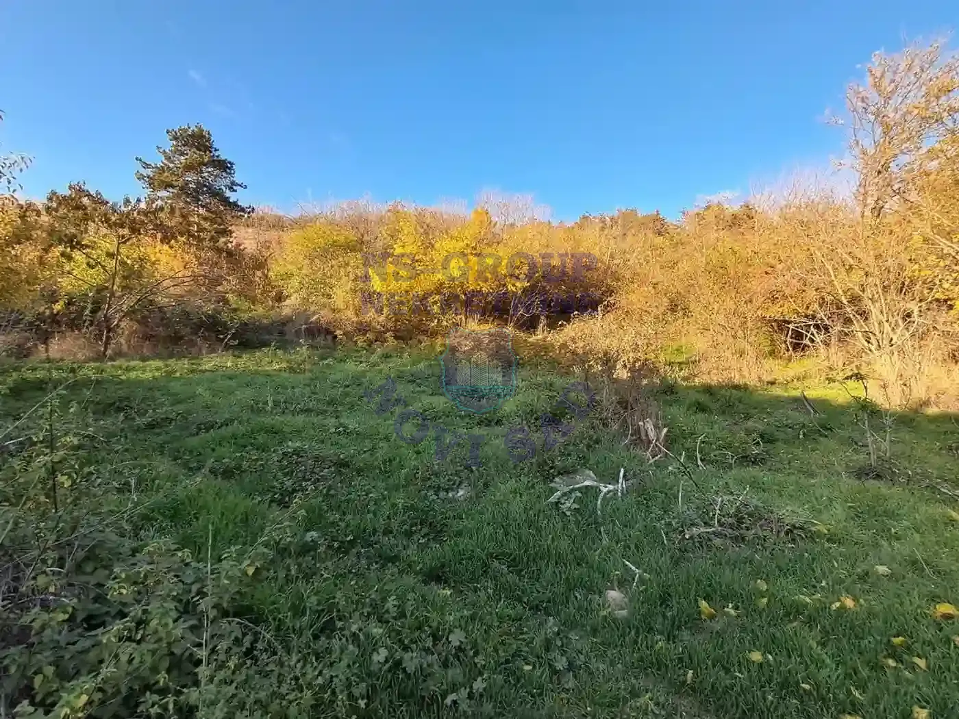 Širi centar, Ležimir