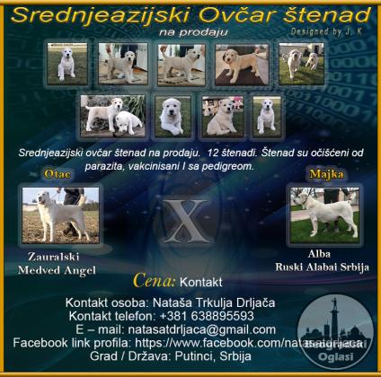 Srednjeazijski Ovčar