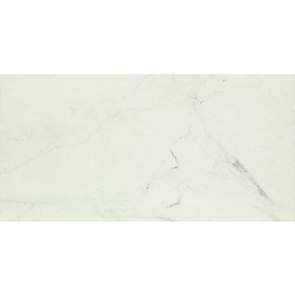 Allmarble 60x120 Allmarble Altissimo MMFC
