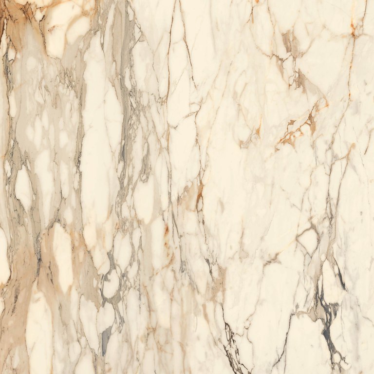 Grande Marble Look 120x120 Calacatta Vena Vecchia MEMH
