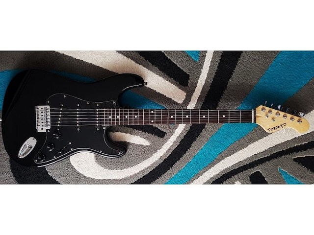 Tenaro Stratocaster električna gitara + oprema