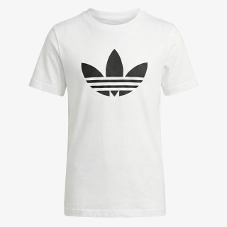 adidas Set Trefoil