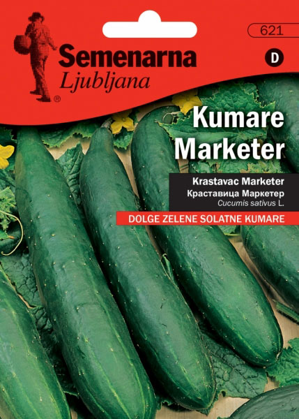 Seme za Krastavac dugi zeleni Marketer - Cucumis sativus L. 621