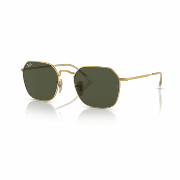 RAY BAN JIM Sunčane naocare 0RB3694 001/31 55