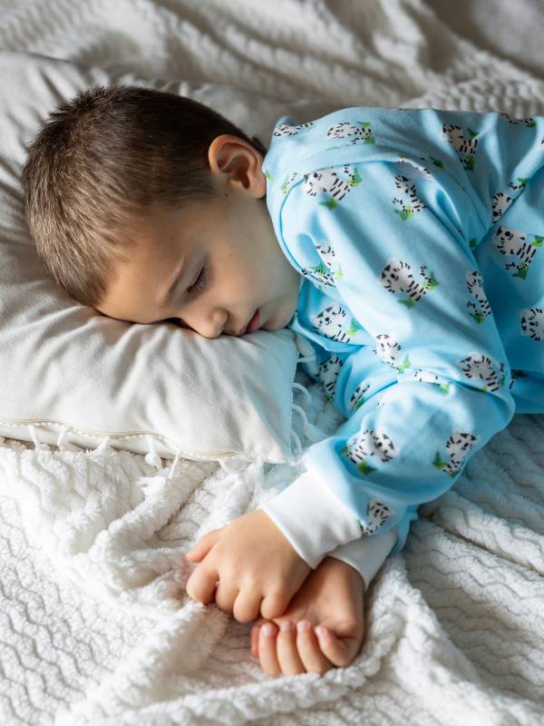 Vreća za spavanje sa nogavicama - punjena - skidajući rukavi - dodatak za stopala - Tigrići - 2.5 TOG