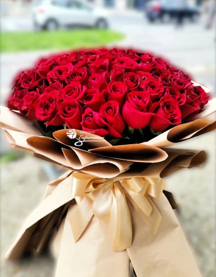 BUKET 101 RUZA CRVENA EKVADOR