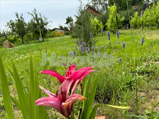 Vikendica na Fruškoj Gori
