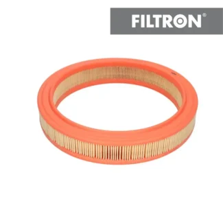 Filter vazduha Filtron AR222 Ford Escort Fiesta 1.4