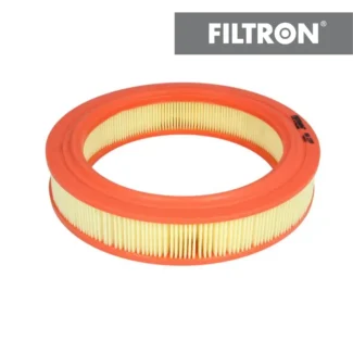 Filter vazduha Filtron AR239 Nissan Sunny