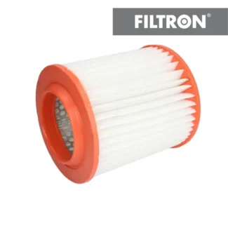 Filter vazduha Filtron AR371 Audi A8 FSI TDI 02-10