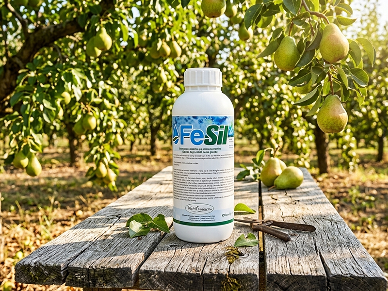 Fesil