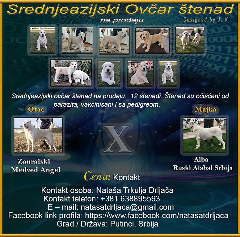 Srednjeazijski ovčar