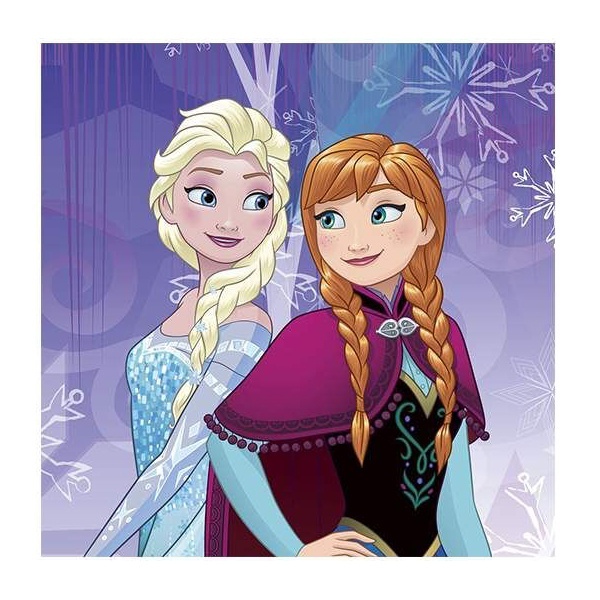 Ukrasni jastučić Disney Frozen duo 2768