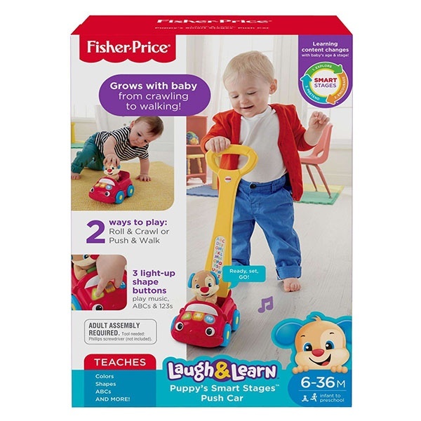 Igračke za bebe Guralica Kuca DLK67 Fisher Price 18086