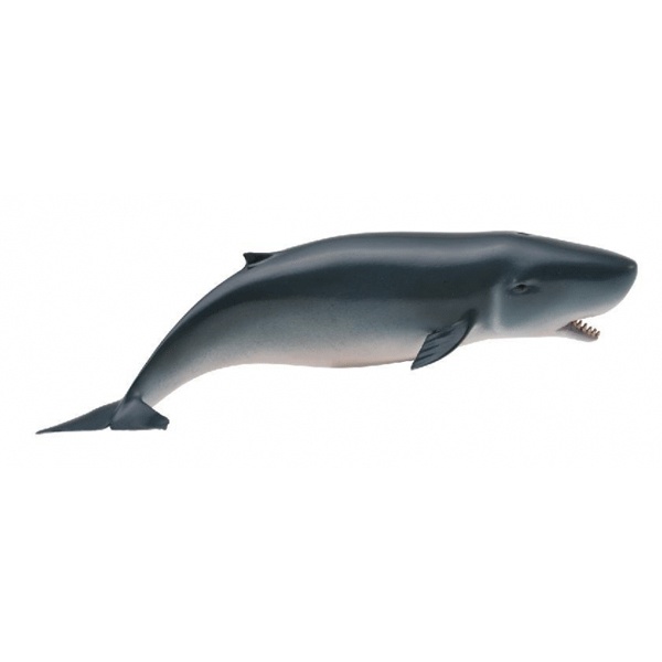 Igračka Pygmy Whale COLLECTA CT88653