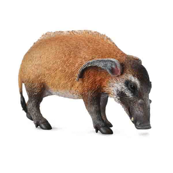 Igračka životinje Red River Hog COLLECTA CT88554