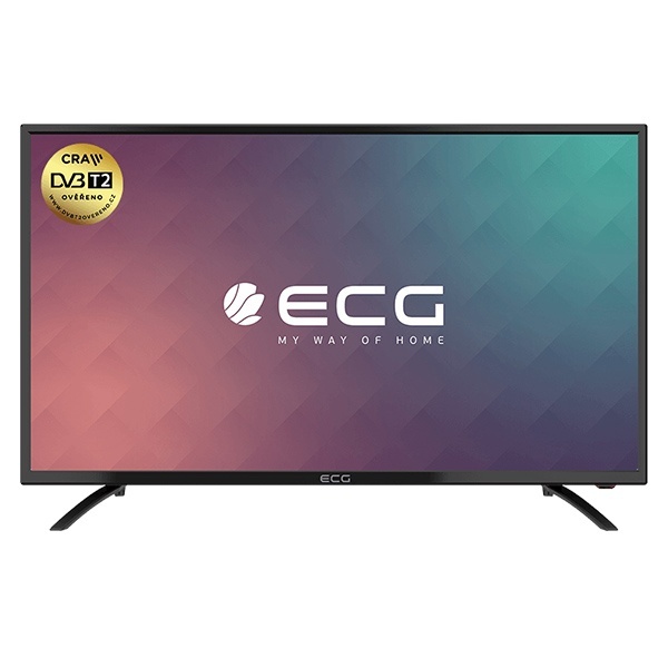 LCD TV ECG 24 H01T2S2