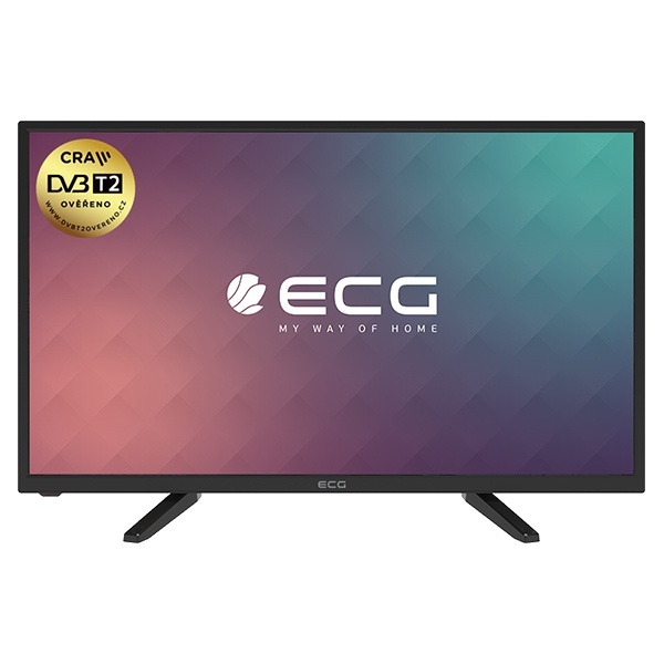 LED TV ECG 22 F01T2S2