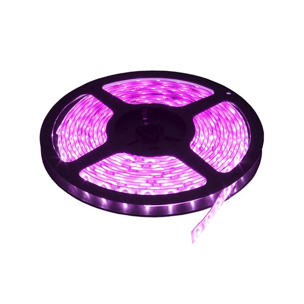 LED traka roze 60LED/1m LTR3528/60P-12