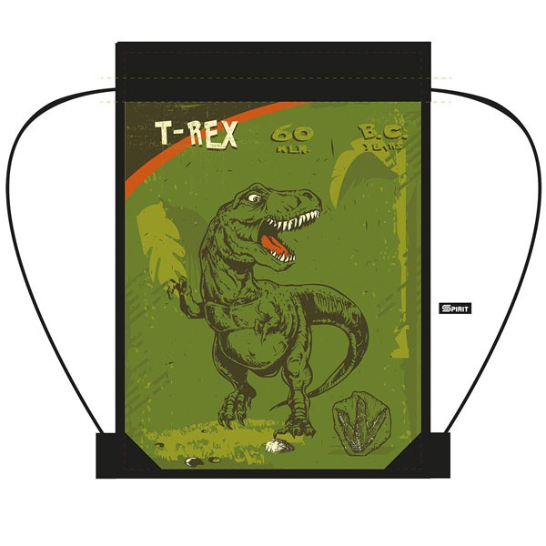Kesa za patike T-Rex TTS 403630