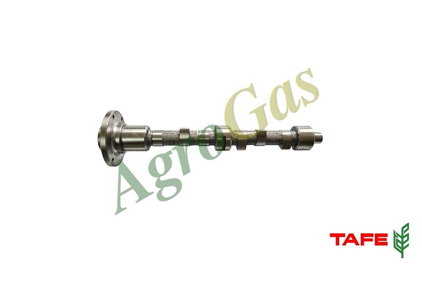 Bregasta motora TAFE 42 19-1, 99S30983