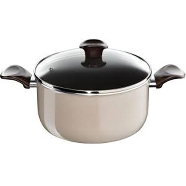 Šerpa TEFAL 24cm + poklopac CERAMIC CONTROL D4214652