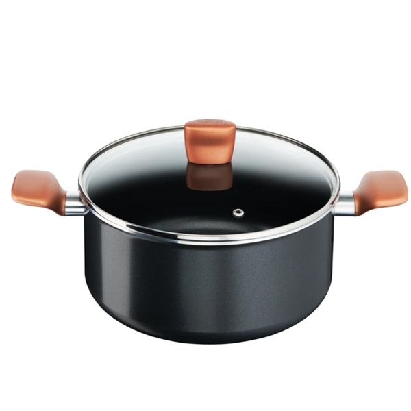 Lonac sa poklopcem 24 cm Express Tefal B2554602