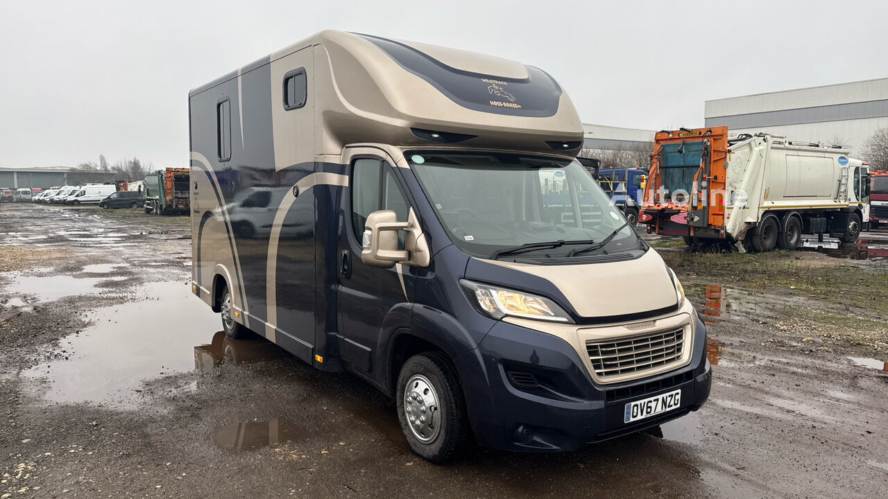 Prodaje se Peugeot BOXER 335 2.0 BLUEHDI vozilo za prevoz konja na aukciji